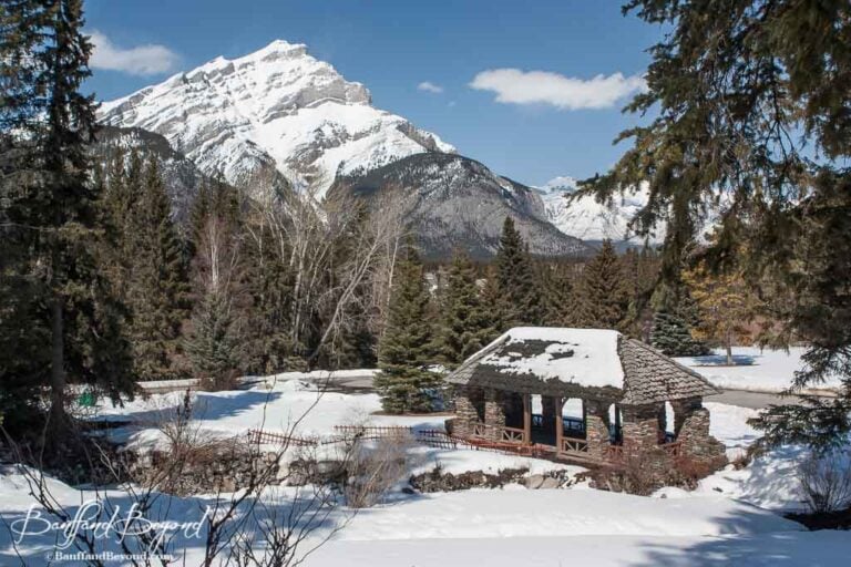Cascade Gardens Off The Beaten Path In Banff | BanffandBeyond