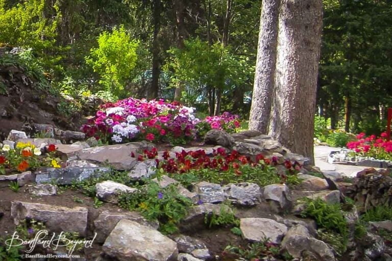 Cascade Gardens Off The Beaten Path In Banff | BanffandBeyond