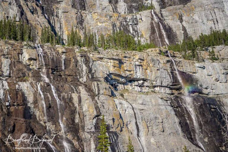 Attractions And Highlights Along The Icefields Parkway | BanffandBeyond