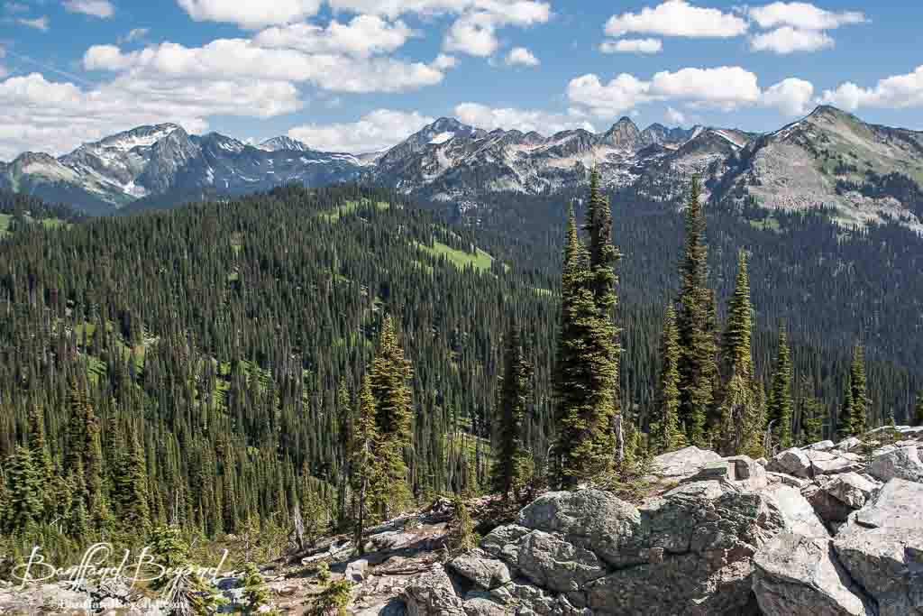Top Attraction Revelstoke Meadows In The Sky | BanffandBeyond